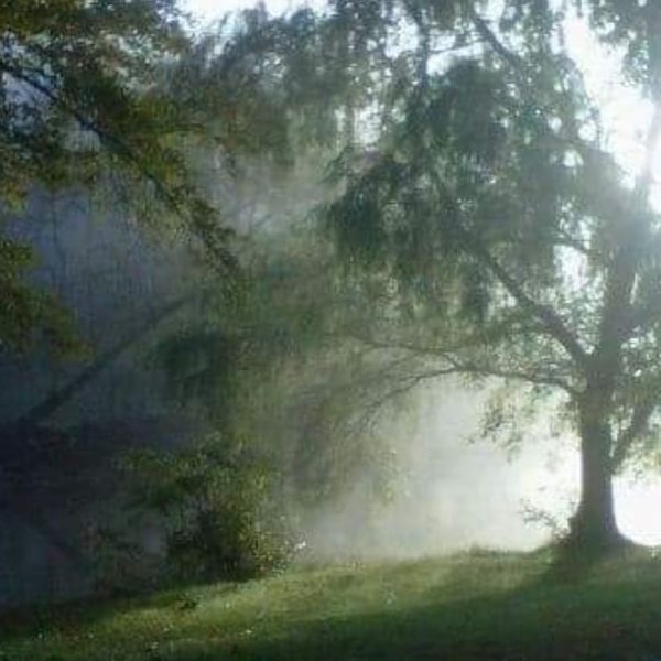 Kapps Mill Estate, Dobson North Carolina – Vintage Farmhouse Lodging ...